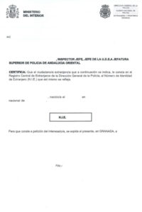 Differences Between NIE, TIE, DNI, NIF